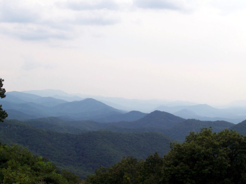 The Blue Ridge Plateau Initiative – Ahinsa Tea